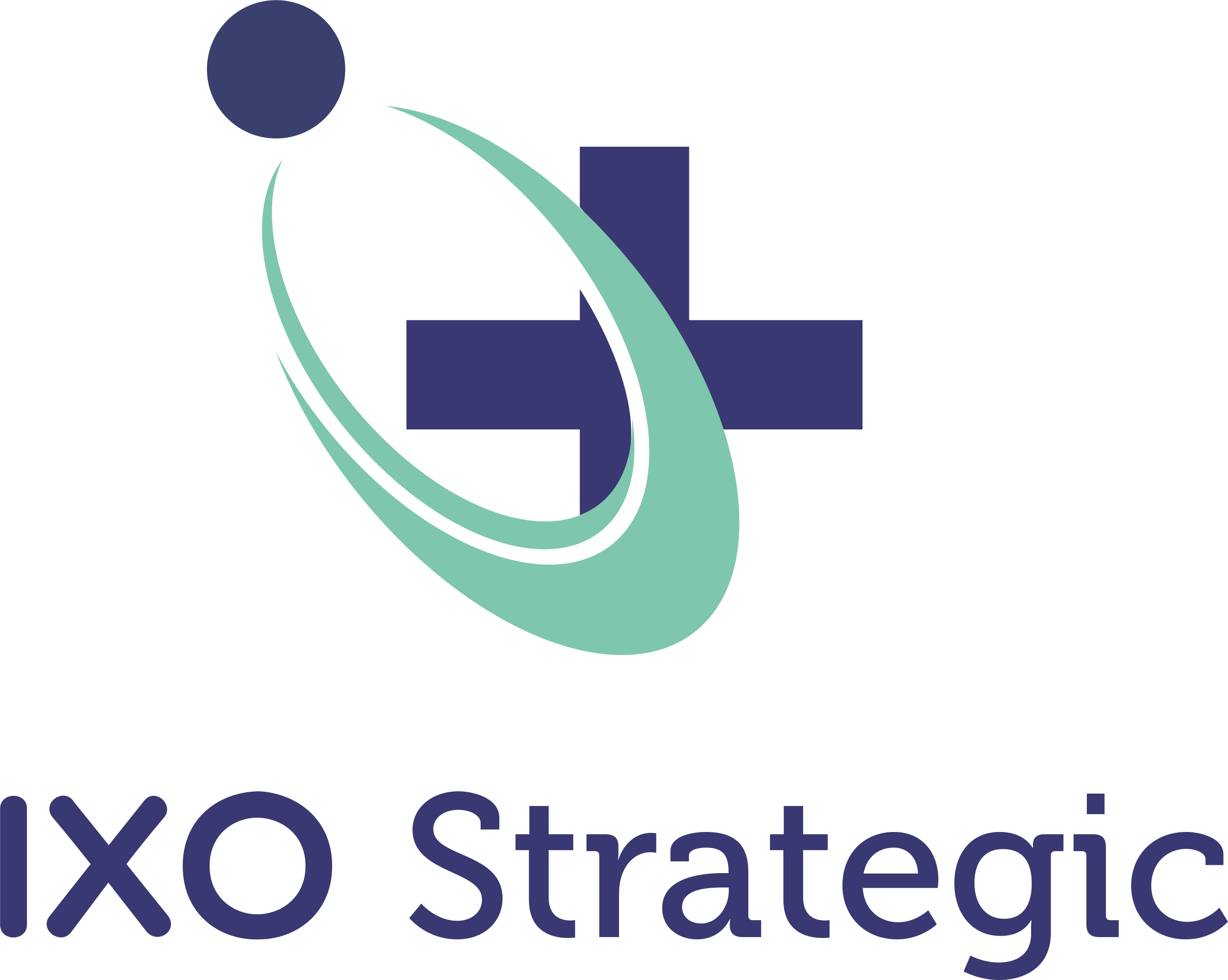 IXO Strategic – Servicii veterinare de calitate
